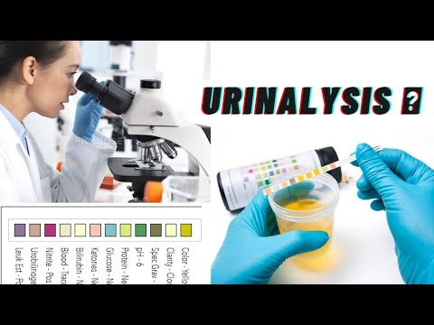 Laboratory urine analysis test 🔬( urinalysis )