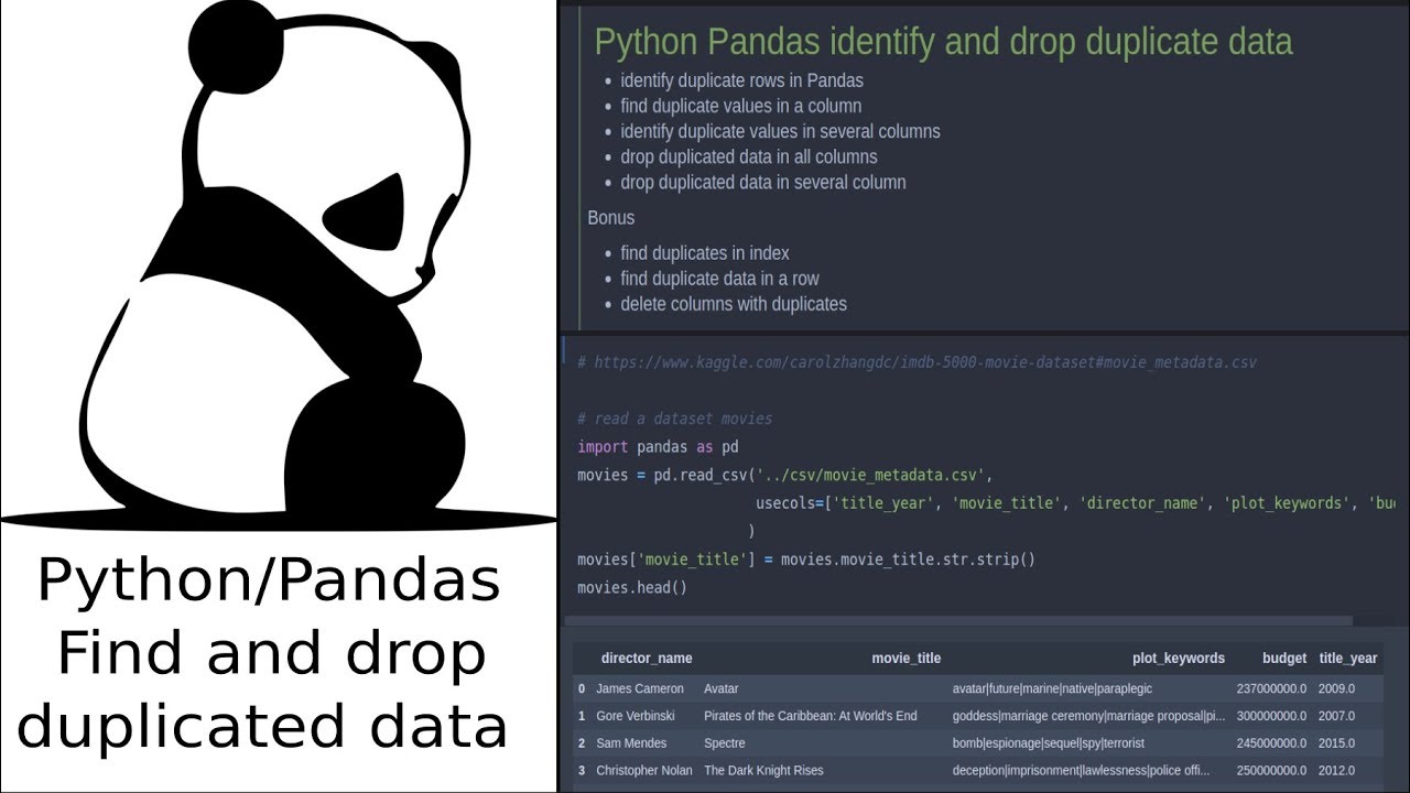 Python Pandas find and drop duplicate data