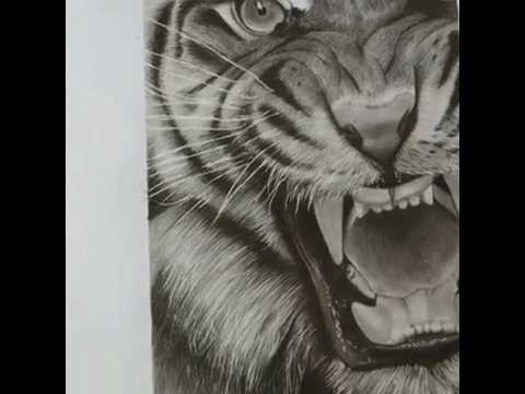 part 2 of making tiger #shorts #ytshorts #art #artandcraft #drawing #Abu nasar art