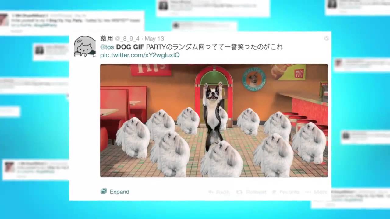 2015 FAB Nominee   Misfits  Dog GIF Party Maker