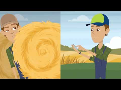 Bob Sells Hay Online