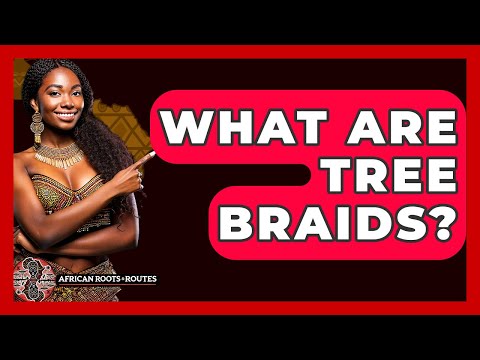 What Are Tree Braids? - African Roots And Routes