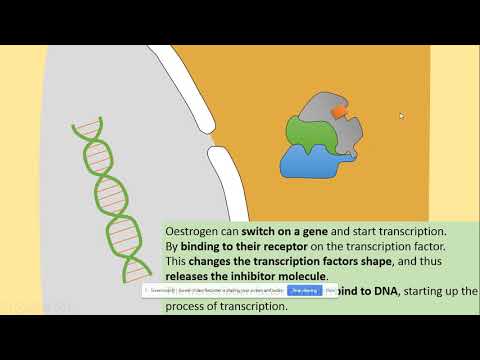 3.8.2.2 Regulation of transcription and translation. AQA A level biology