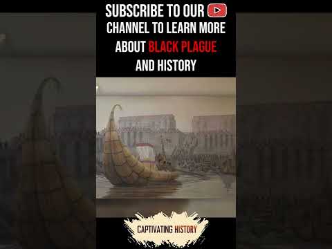What Did Mesopotamia Give to the World in Ancient Times? #shorts