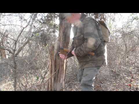 21st Century Longhunter Uses of Cedar
