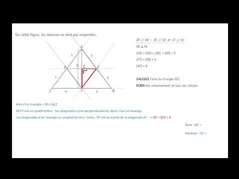 CE1D Math 2022 - question 30 - Périmètre, aire, volume