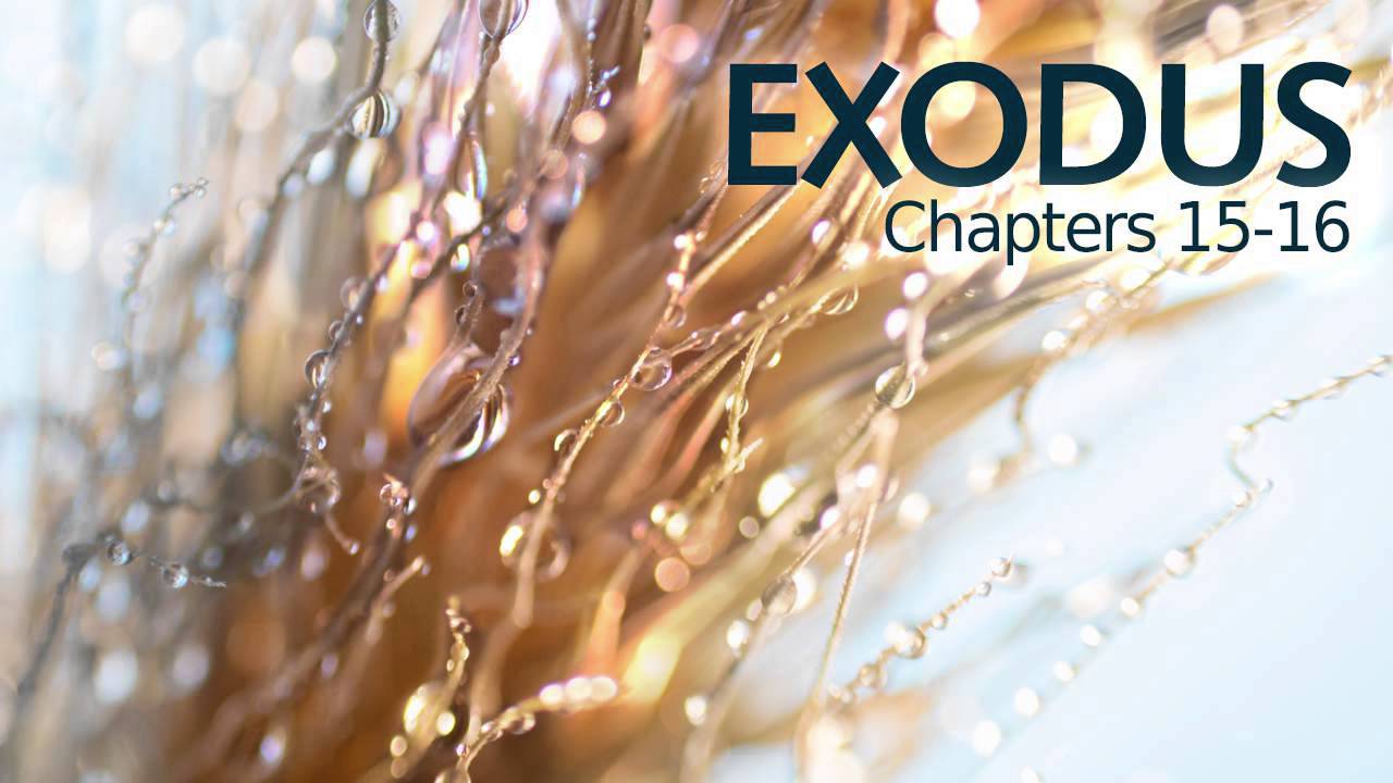 Verse by Verse - Exodus 15-16