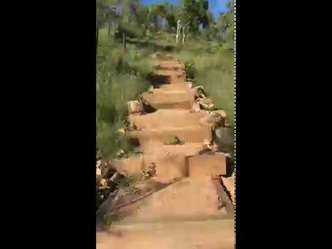 JCU Townsville - "Connections to Country" walking track