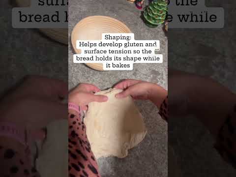 Sourdough Terminology