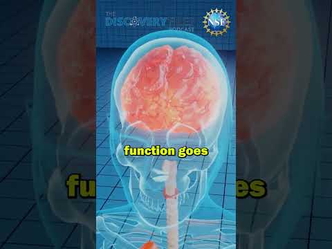 Brain Mapping #shorts