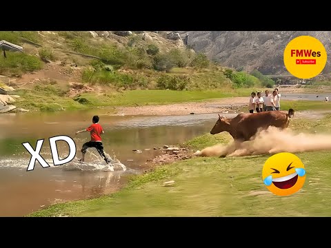 SI TE RÍES PIERDES NIVEL DIOS #253 🤣 VIDEOS DE RISA 😎UNA HORA DE MOMENTOS😆