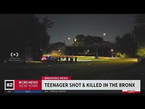 Teen shot and killed inside Bronx park