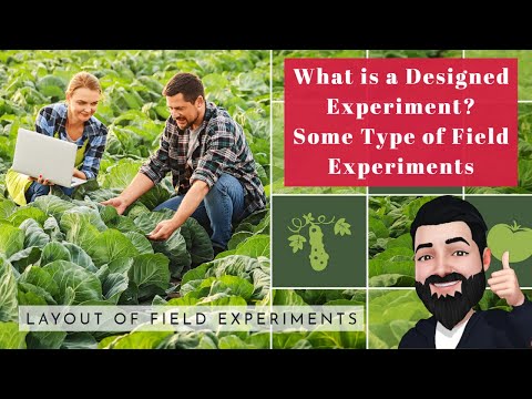 What is a Designed Experiment - Some Types of Field Experiments