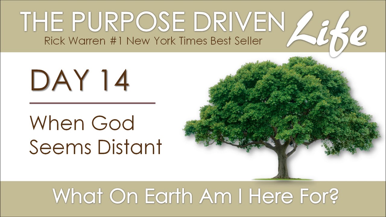 Purpose Driven Life | Day 14