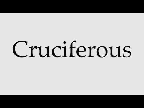 How to Pronounce Cruciferous