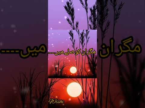 Urdu Poetry Recitation: A Journey of Emotions | Loving you is a Losing Game | Duncan Laurence