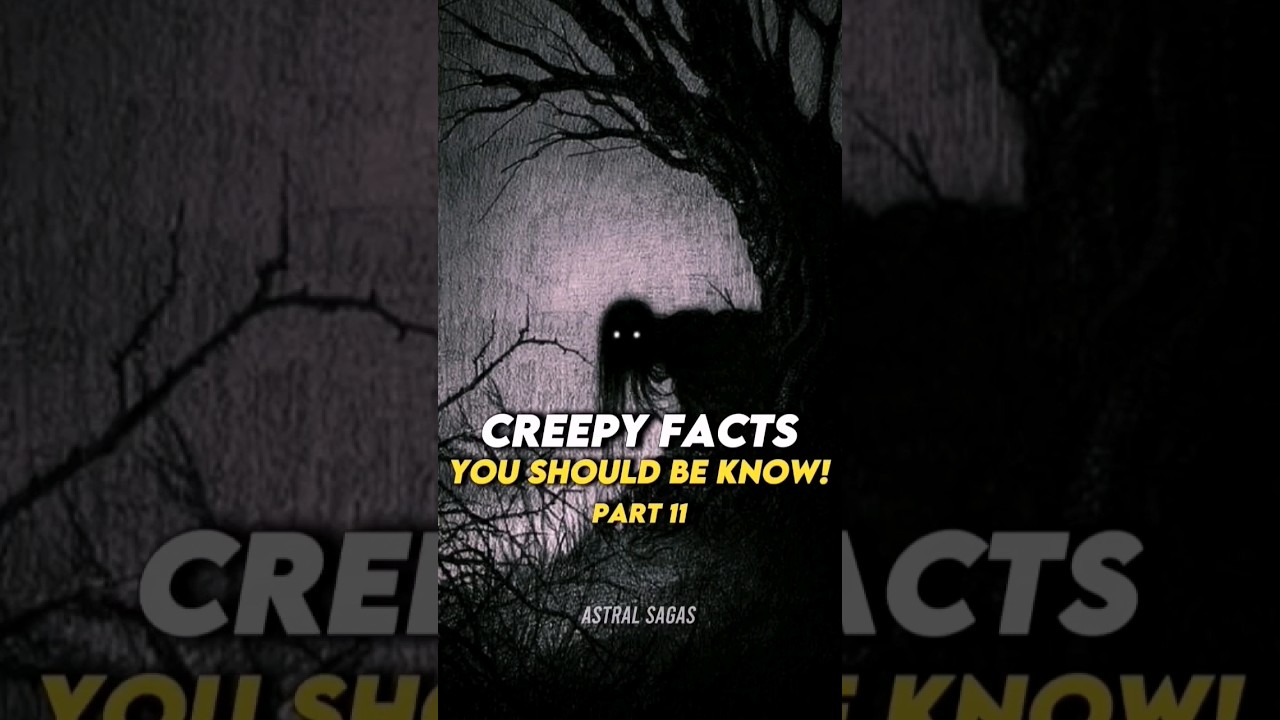 Creepy Facts You Should Be Know! PART 11