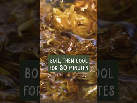 How To Make a MACERATED OIL