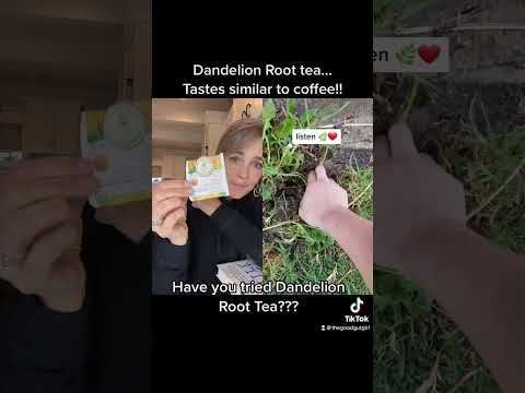 Dandelion Root Tea Benefits!