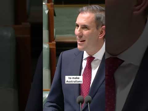 Jim Chalmers has handed down the 2024 federal budget
