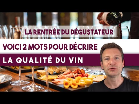 Comment évaluer simplement la QUALITÉ du vin 🍷 (Leçon n°170)
