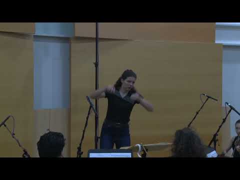 Petr Iljič Čajkovski: Serenade for strings, III. mov. Elegie