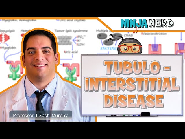 Chronic Kidney Disease Ninja Nerd
