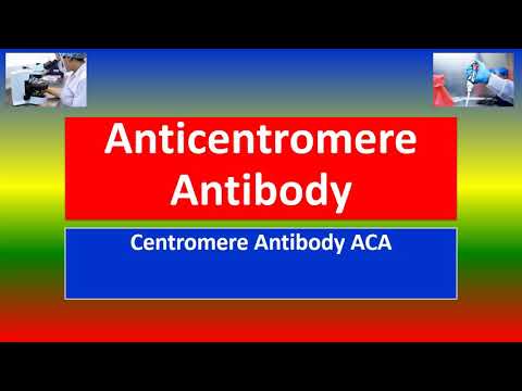 ANTICENTROMERE ANTIBODY TEST