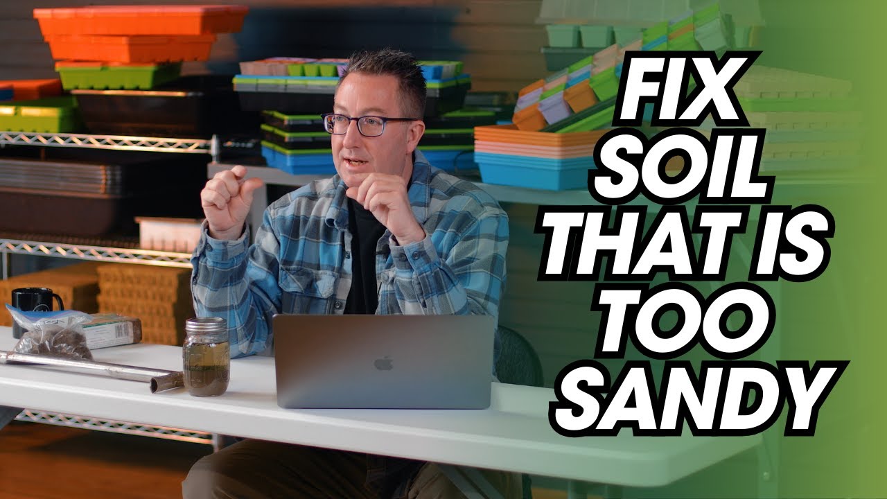 How To Improve Your Sand Soil (Sandy Soil Amendment Guide)