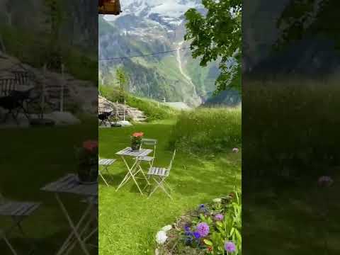 What is the best caption for nature