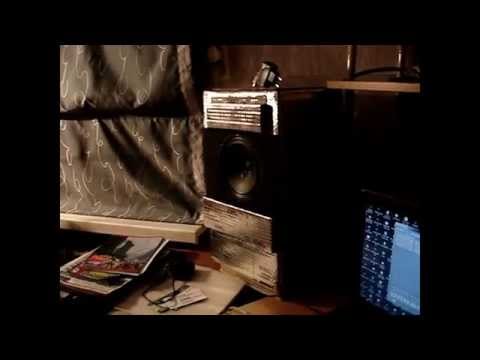 Visaton BG 17 8 Ohm iMuso