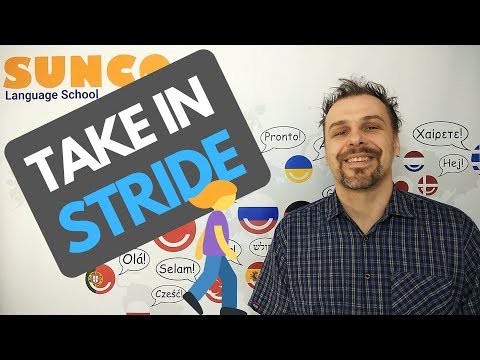 idioms 101 - take it in stride