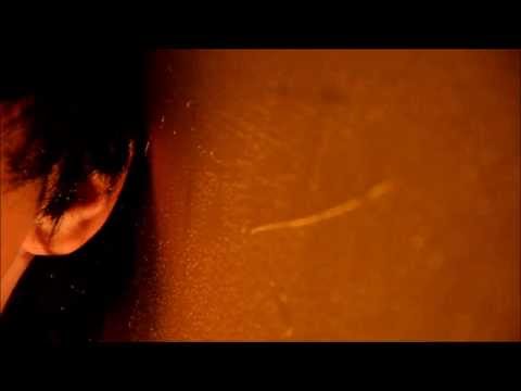 The New Cisco Project Official Trailer