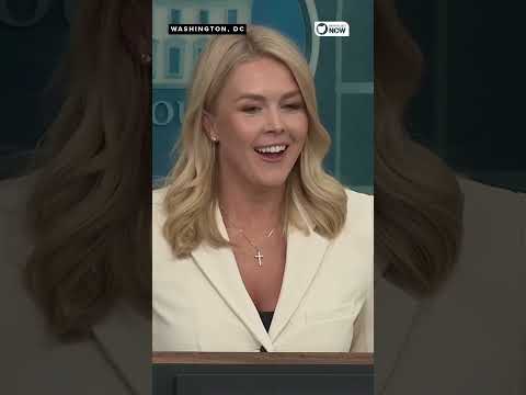 Karoline Leavitt addresses public feud between Elon Musk, Peter Navarro over Trump's tariff plans