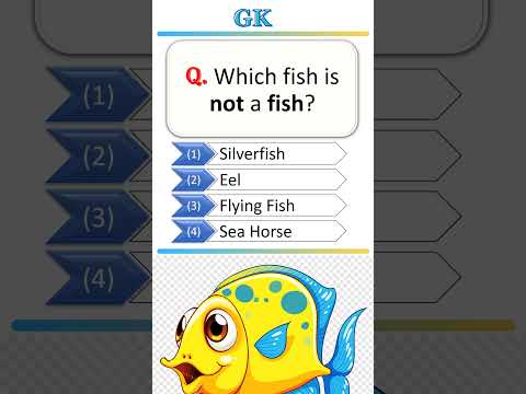 Which fish is not a fish? #fish #gk #facts