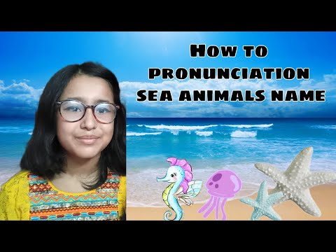 English practice for kids | How to pronunciation sea animals | (Fariha's Creativity)