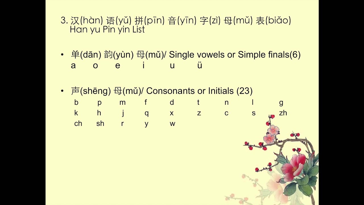 Hanyu Pinyin Chapter 1 Introduction