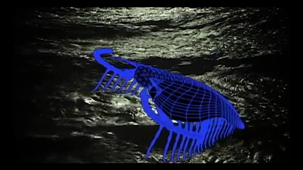 How rapidly did the Cambrian “explosion” happen?
