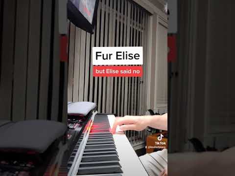 Fur Elise but Elise said no