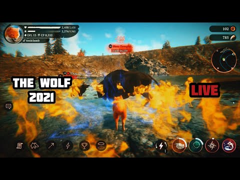 Steam Community :: Video :: The Wolf - PC Version Live