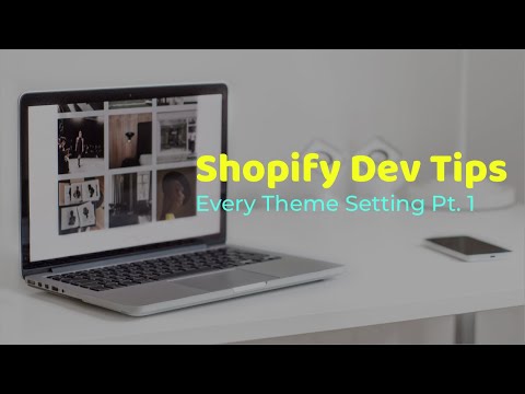 Shopify Dev Tips: All Theme Settings Pt. 1