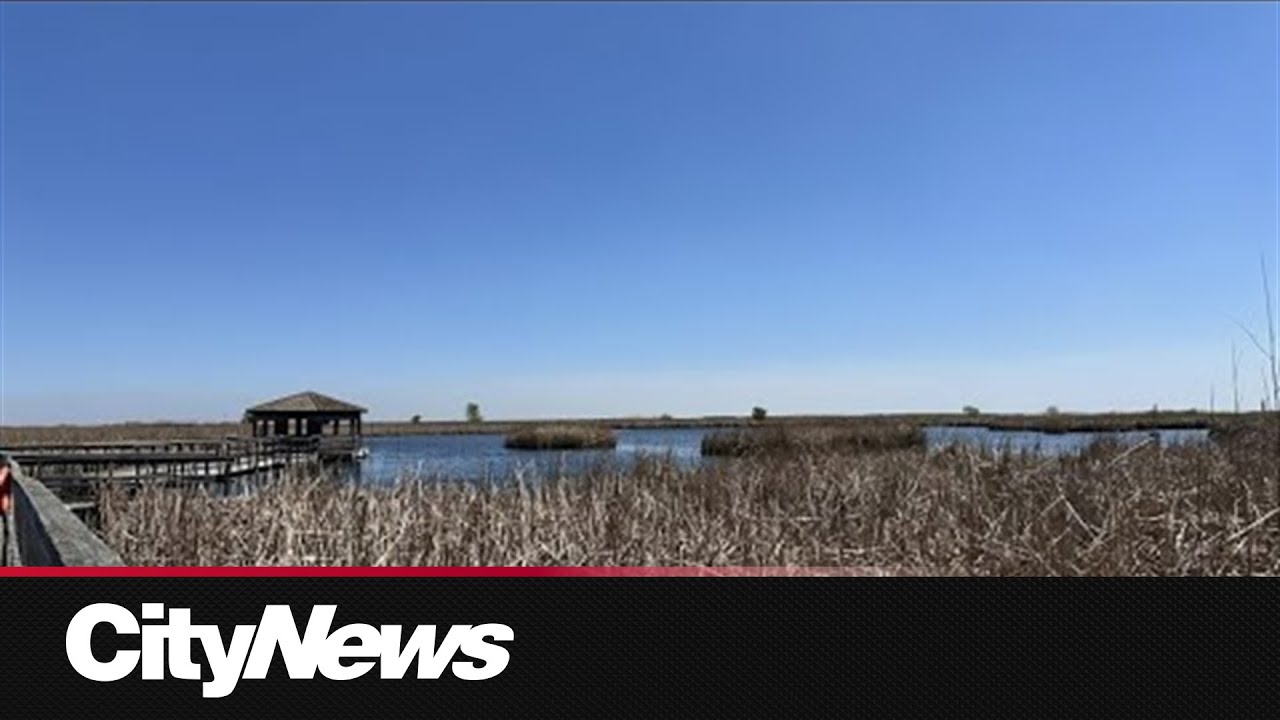 Oak Hammock Marsh Wetland Discovery Centre reopening to the public Saturday