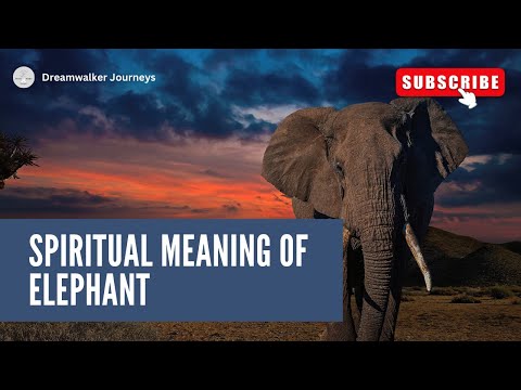 Spiritual Meaning of Elephant