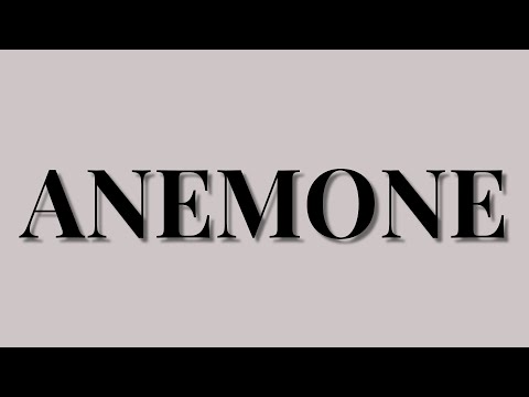 How to pronounce anemone in english