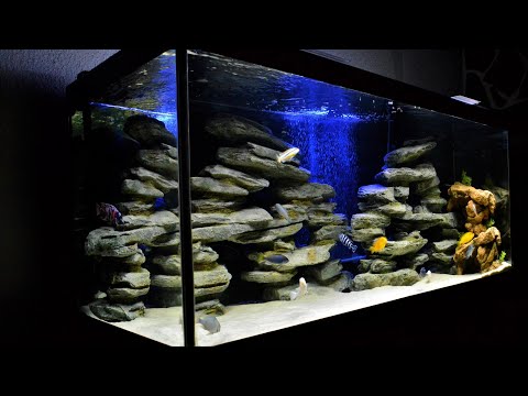 75 GALLON AFRICAN CICHLID TANK SET UP