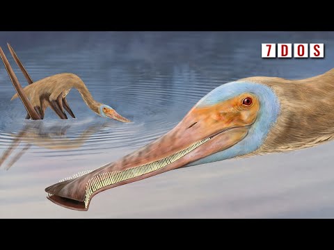 This New Pterosaur Might Be The Strangest One Ever Discovered