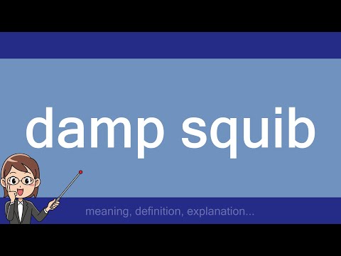 damp squib