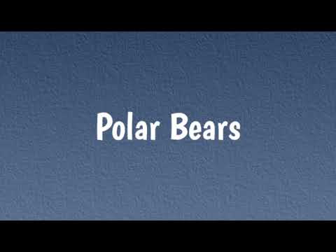 How to Pronounce " Polar Bears "
