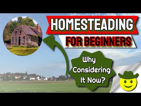 Homesteading for Beginners [Why Considering It Now?]