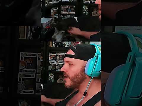 Bombastic Side Eye! 🐕 | IRL Moments With Valeck Jr.